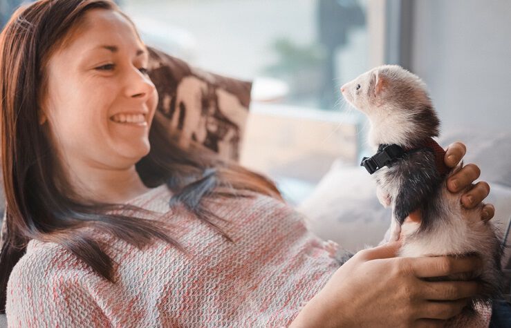 How To Take Care of a Ferret | Pet Supermarket | Pet Supermarket