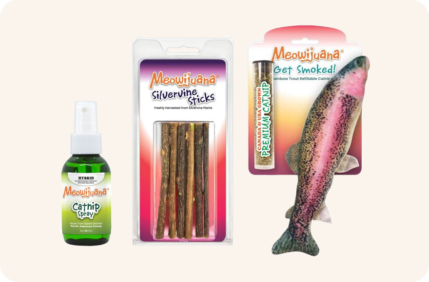 Treats and Toys of the Month | Pet Supermarket | Pet Supermarket