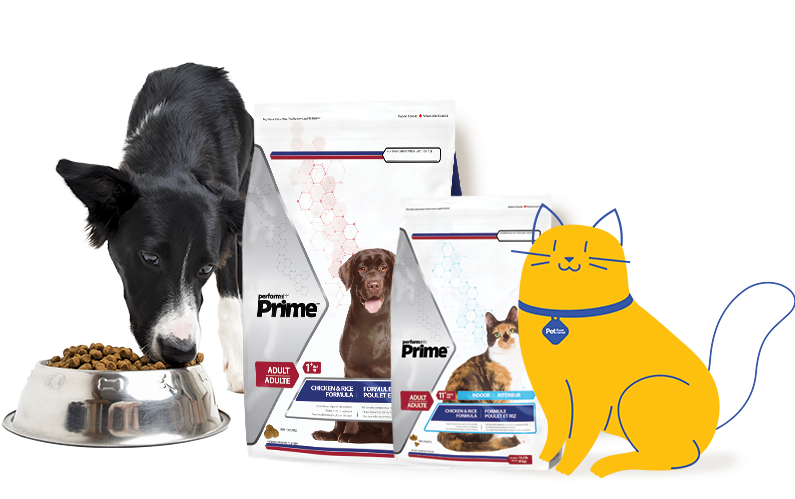 Performatrin Prime | Pet Supermarket
