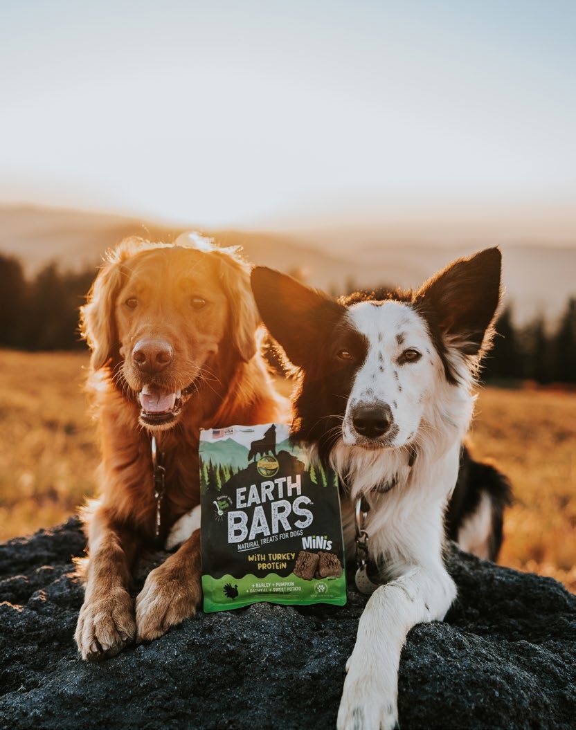 Sustainable Pet Products | Pet Supermarket