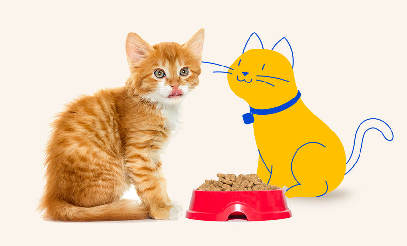 Home | Pet Supermarket