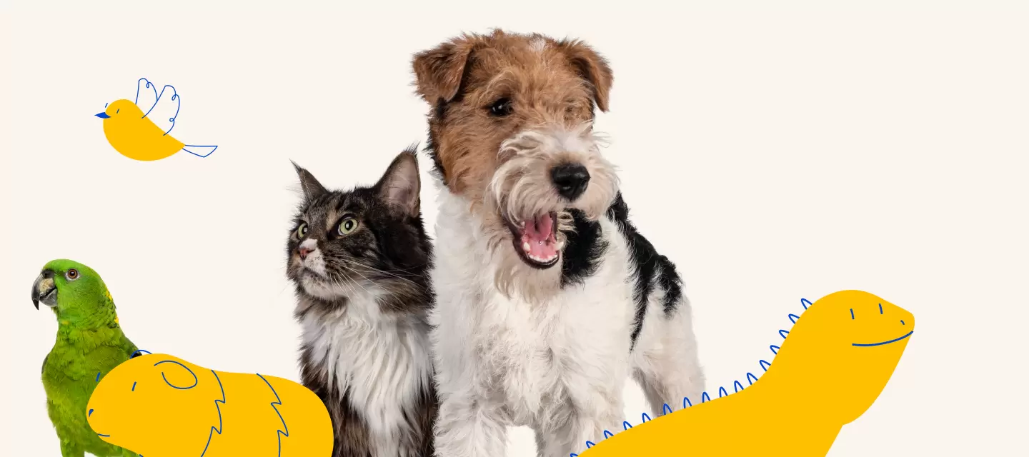 About Us | Pet Supermarket