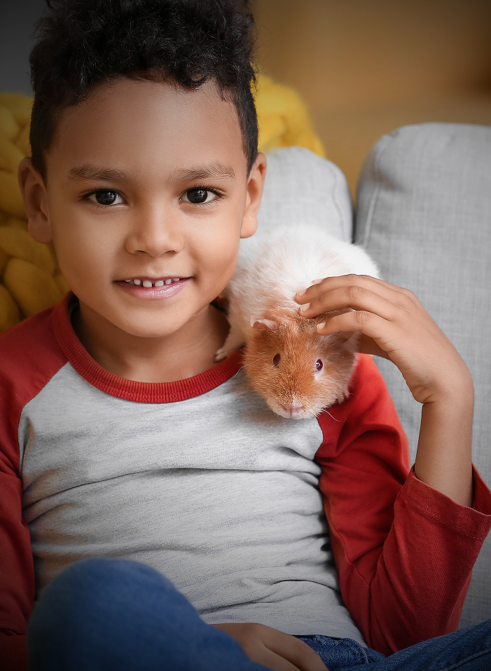 Guinea Pig Shop | Pet Supermarket | Pet Supermarket