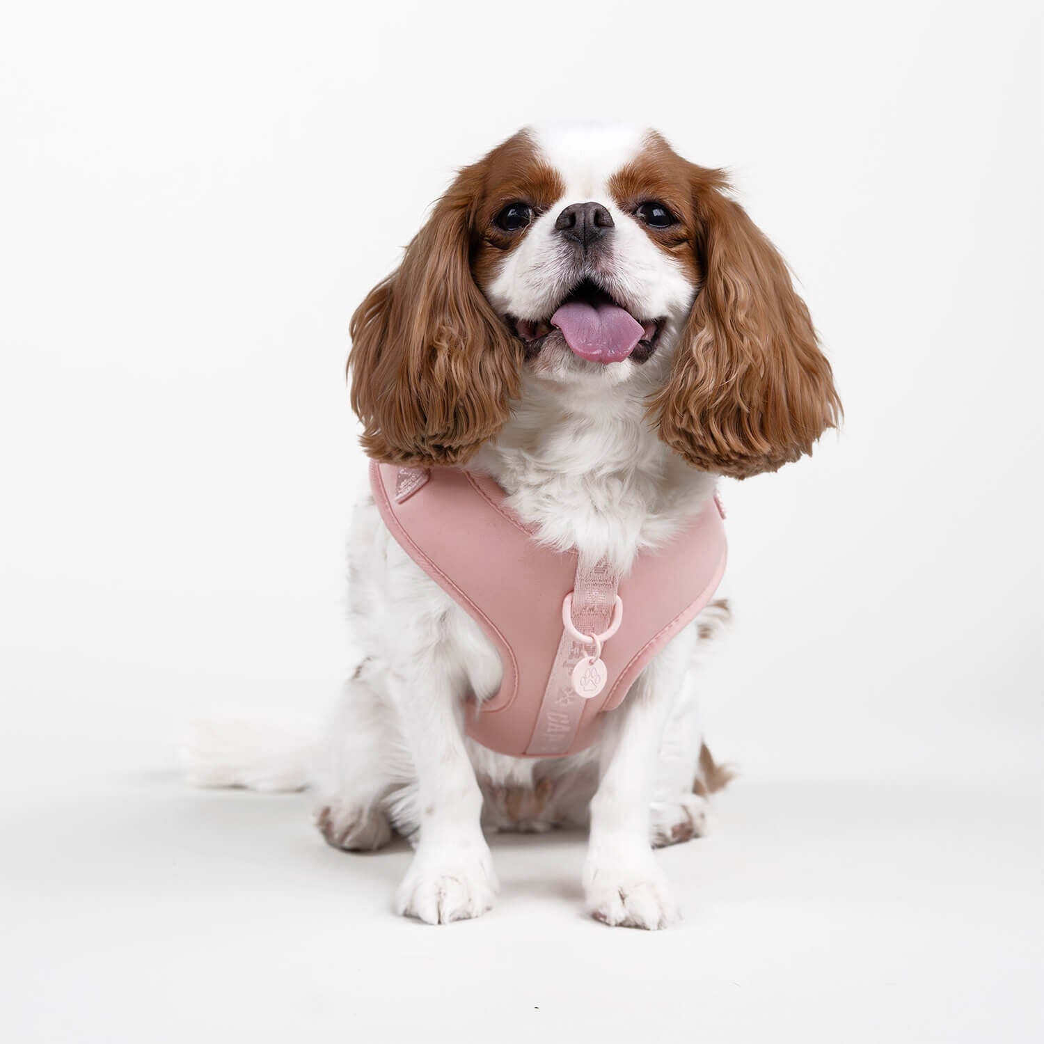 Gap Pink Paw Charm Dog Harness 1L | Pet Supermarket
