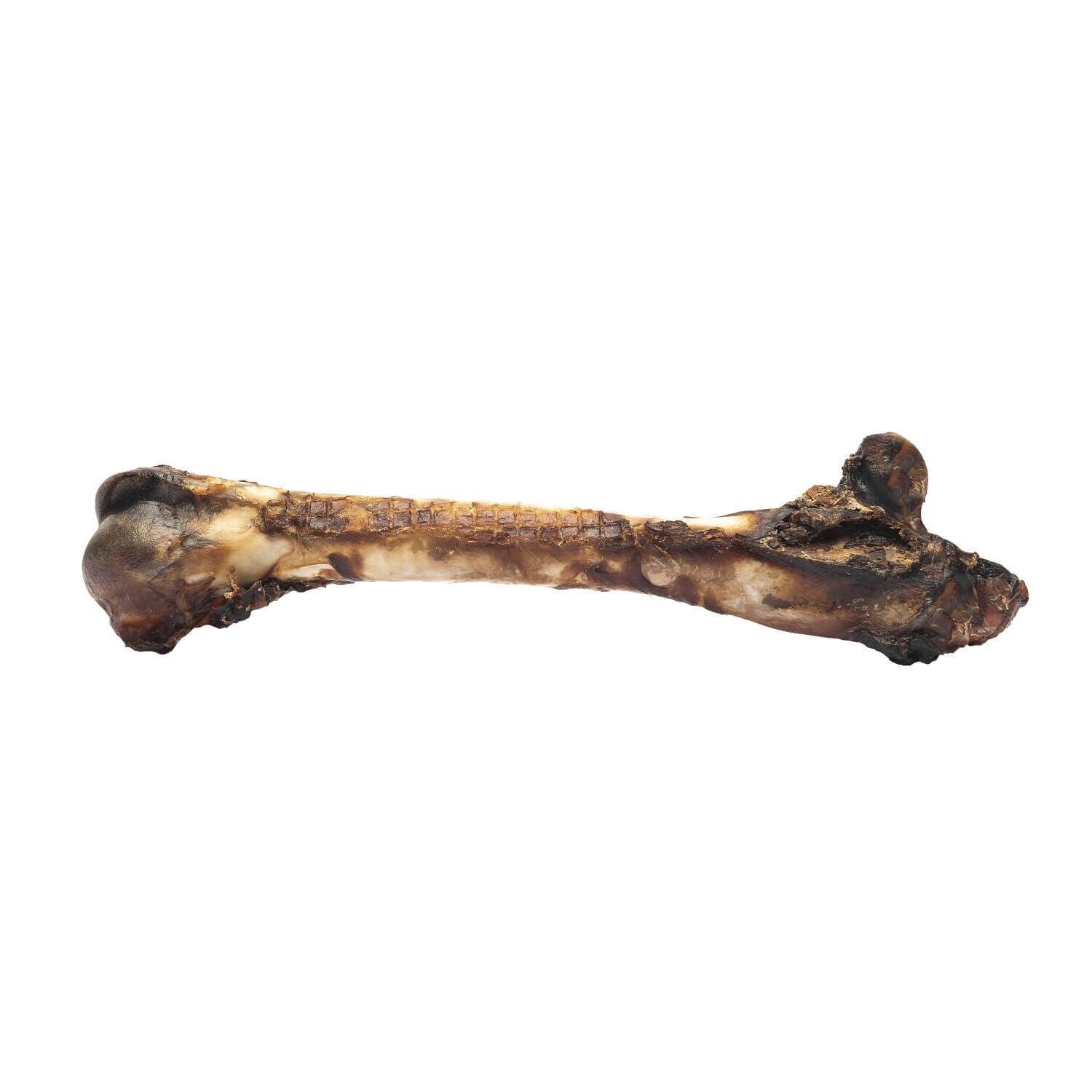 Roam Long Lasting Large Roo Chopper Kangaroo Femur Dog Treat 1ea | Pet ...