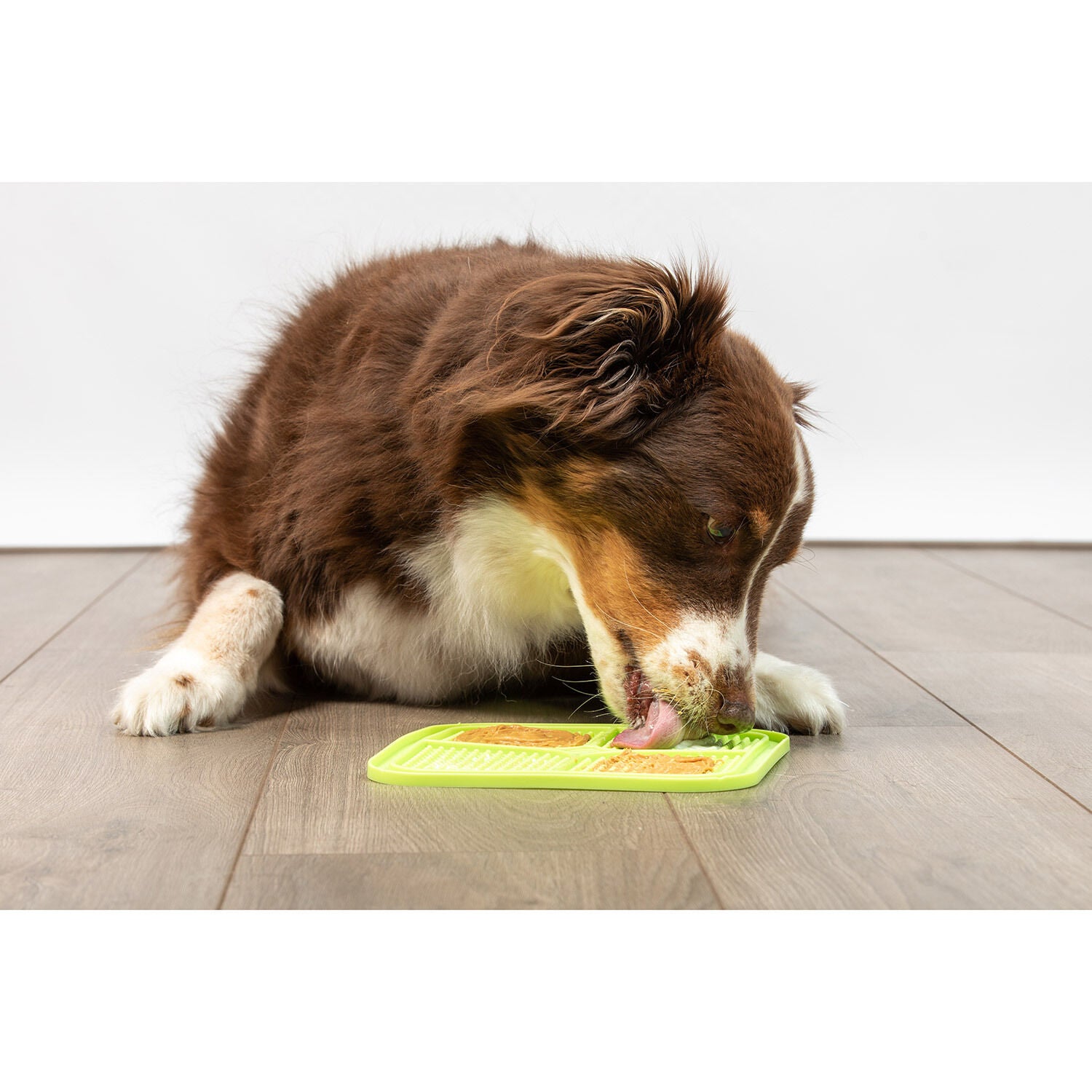 Boredom Busters Relax 1ea | Pet Supermarket Boredom Busters Relax 1ea | Pet Supermarket