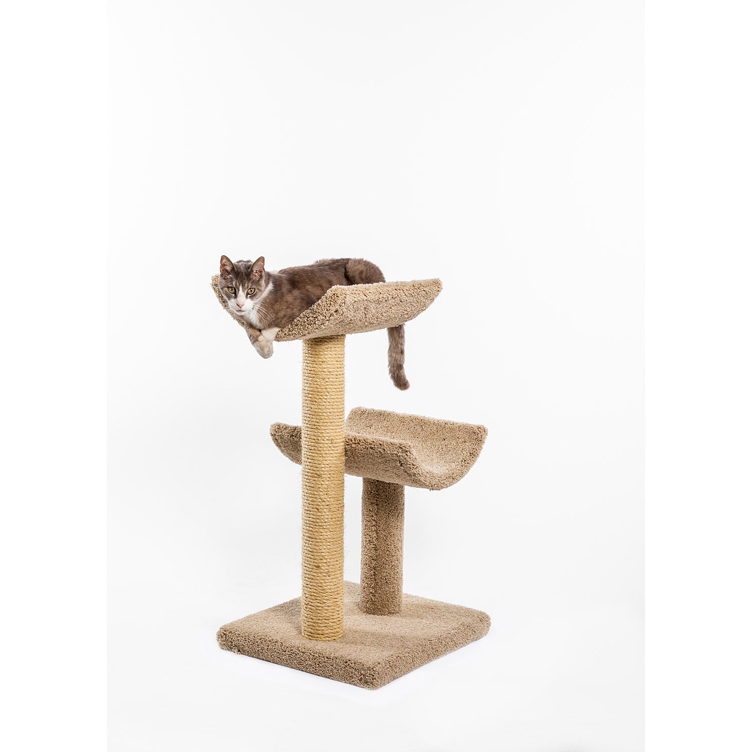Molly And Friends Comfy Cot Cat Perch | Pet Supermarket