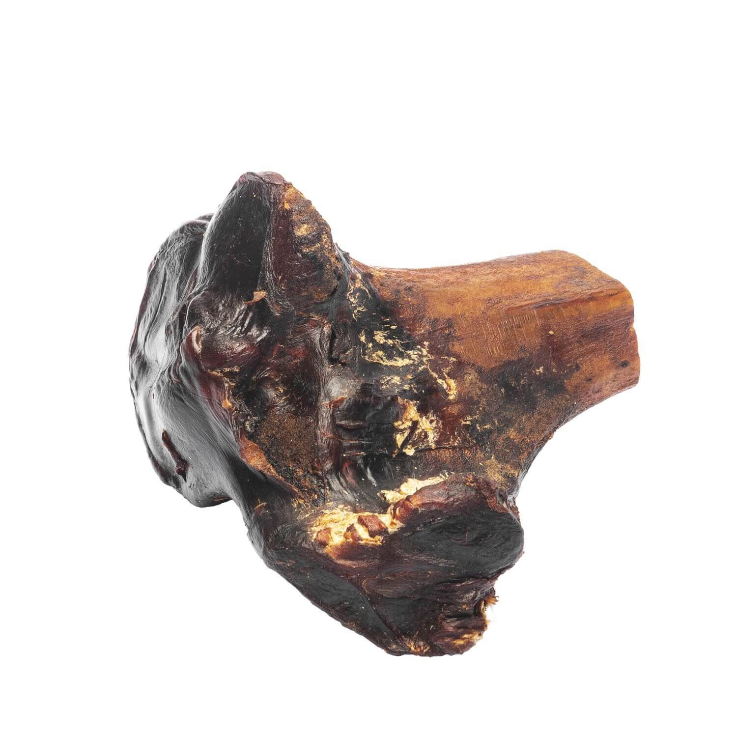 Roam Gnaw Kle Long Lasting Large Ostrich Knuckle Bone Dog Chew 1ea ...