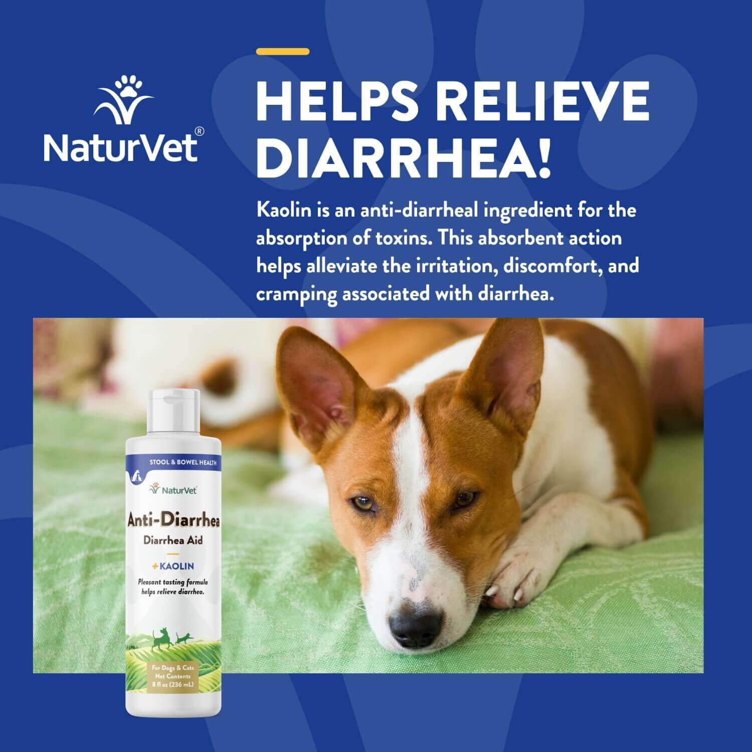 Anti-Diarrhea + Kaolin Liquid Diarrhea Aid For Dogs - Cats 8oz | Pet ...