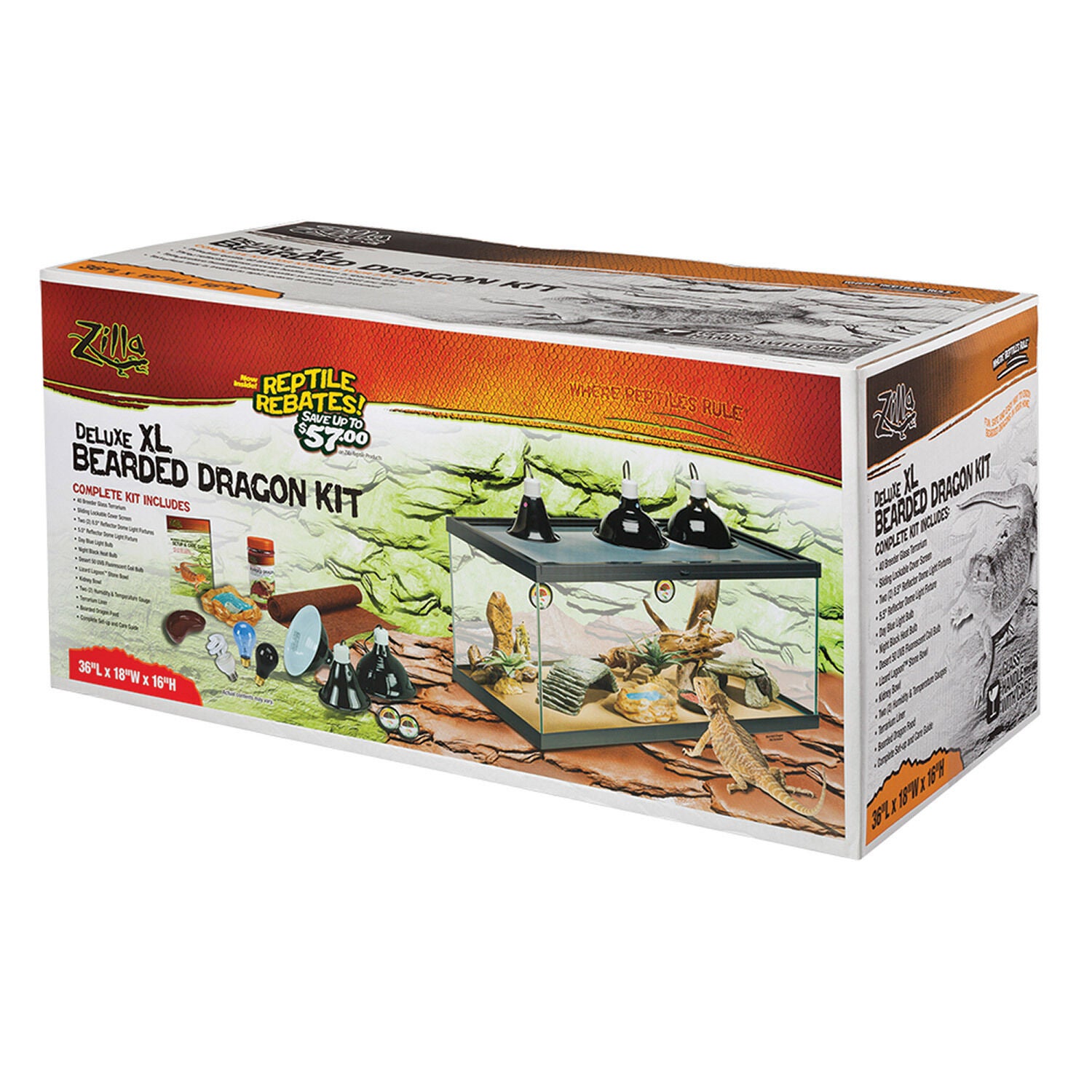 Deluxe Bearded Dragon Kit 40gal | Pet Supermarket
