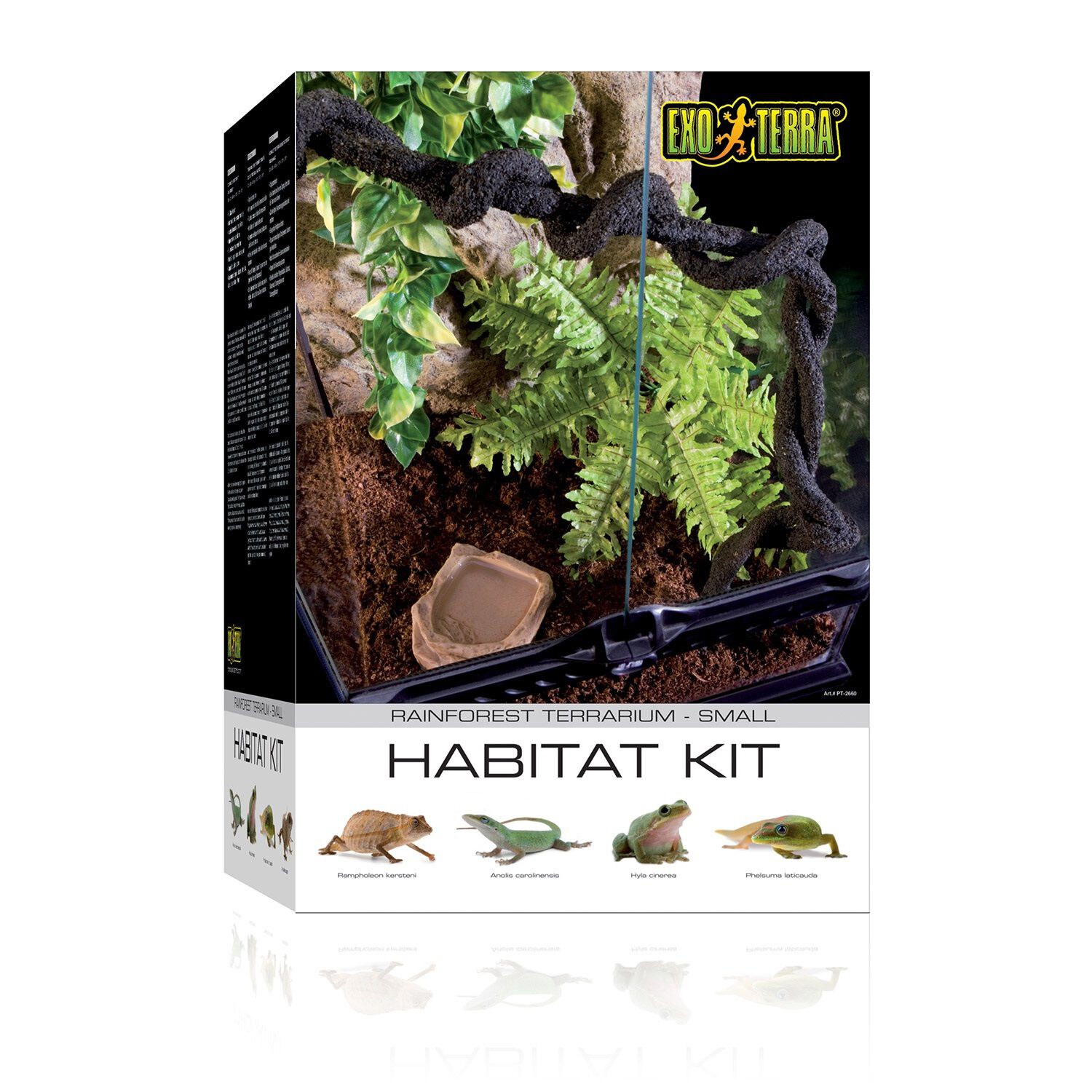 Rainforest Habitat Kit Small | Pet Supermarket