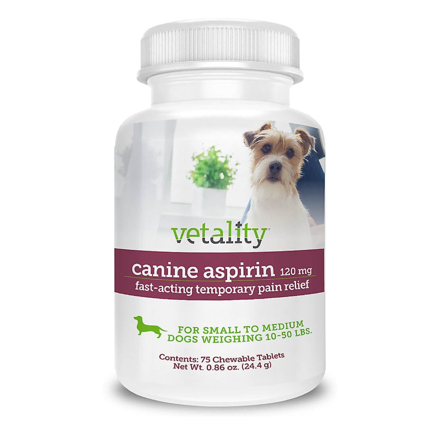Vetality Canine Aspirin For Small-Med Dogs 10-50 Lbs 120 Mg 75ct | Pet ...