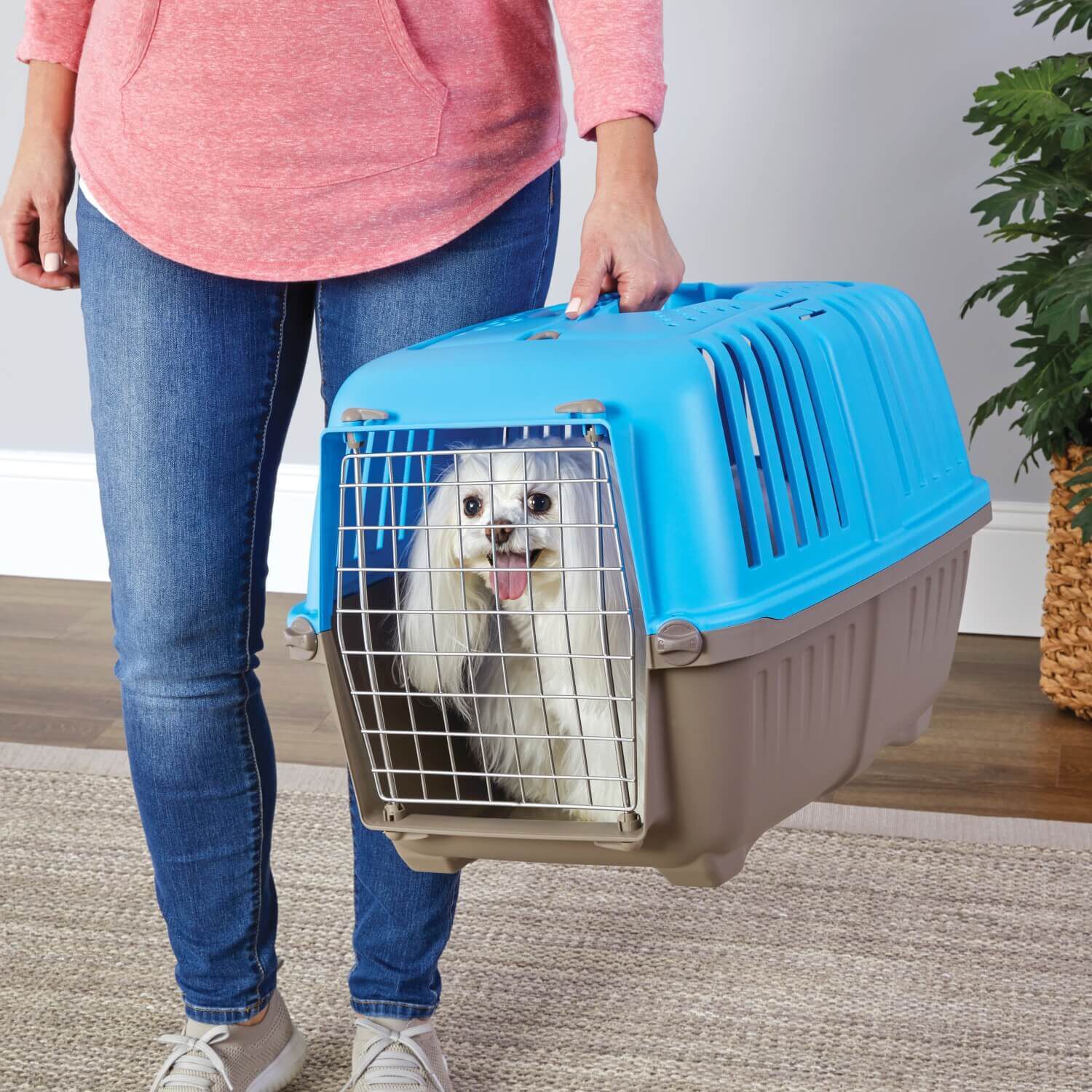 Midwest Spree Blue Plastic Hard Sided Pet Carrier 24in | Pet Supermarket