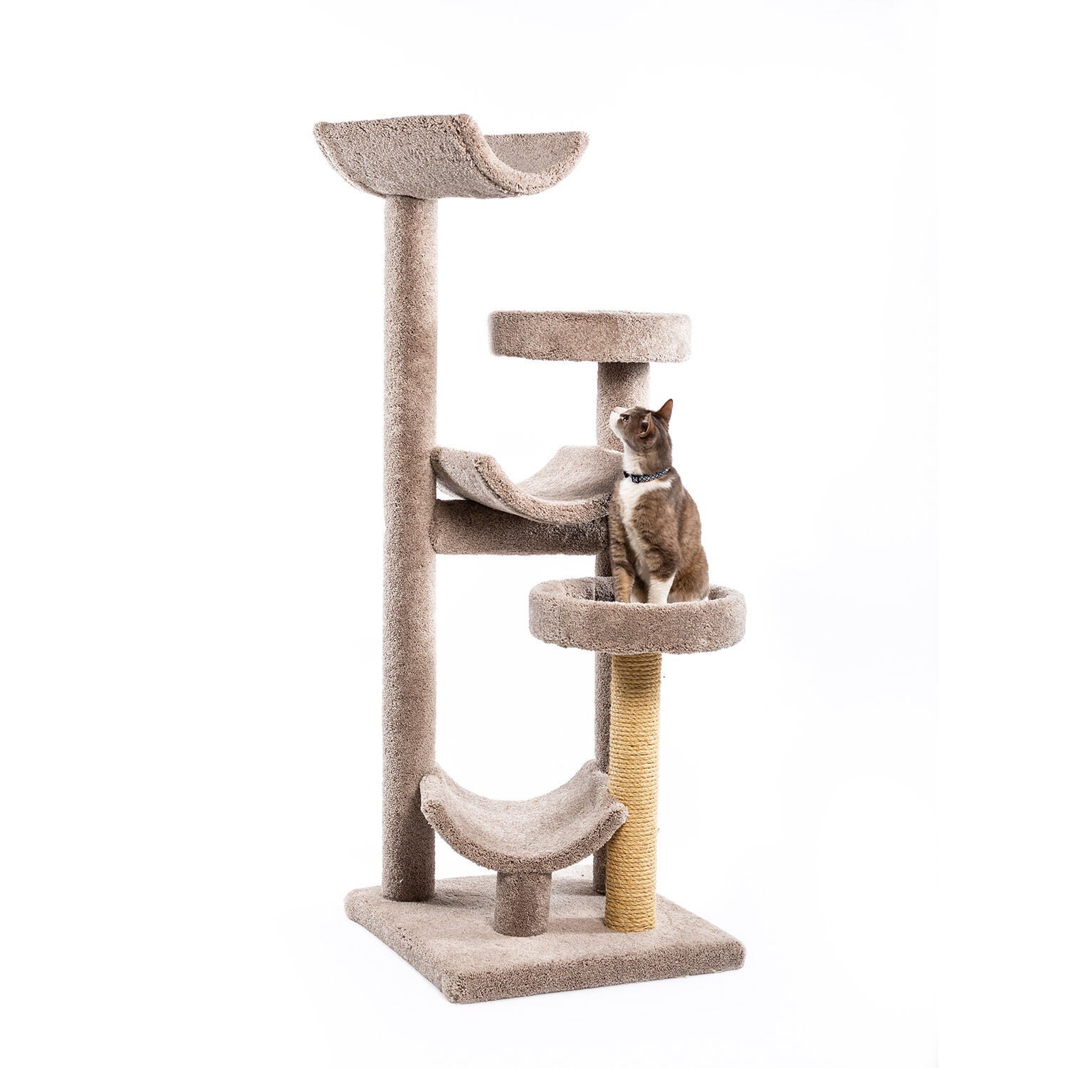 Molly And Friends Cat Tree Scratcing Post Picasso | Pet Supermarket