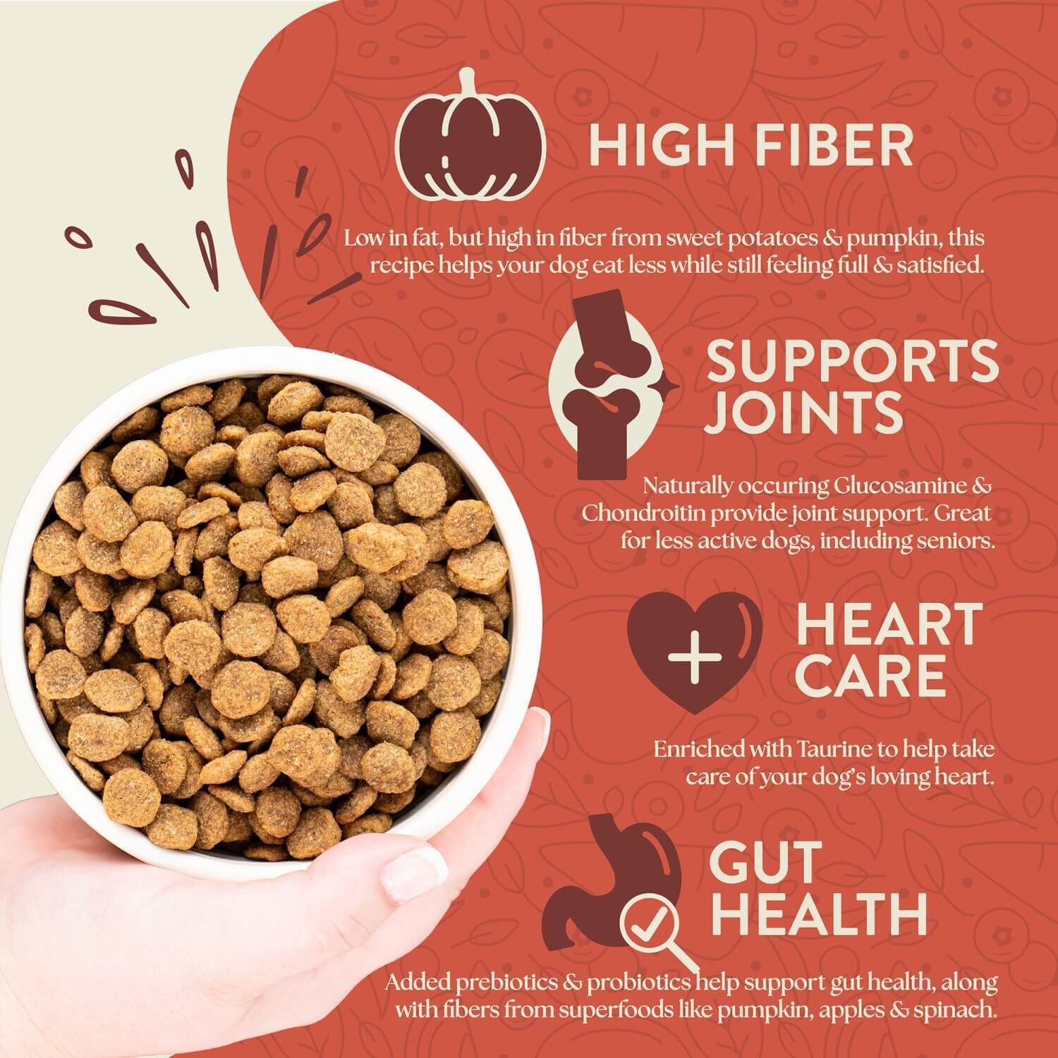 Earthborn Holistic Weight Control Chicken Meal Vegetables Grain Free Dry Dog Food