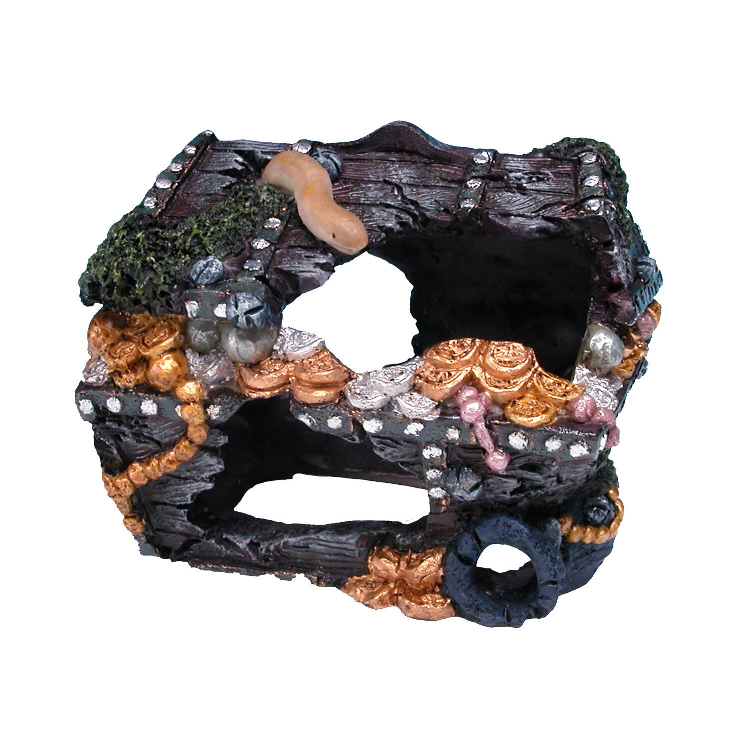 Treasure Chest | Pet Supermarket