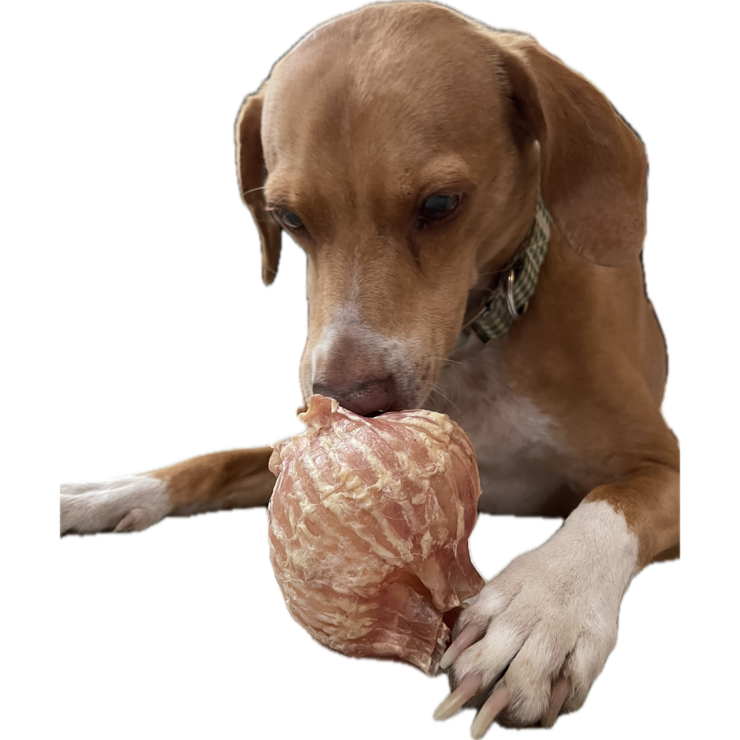 Performatrin Ultra Beef Trachea Balls Dog Treats, 3-4 | Pet Supermarket