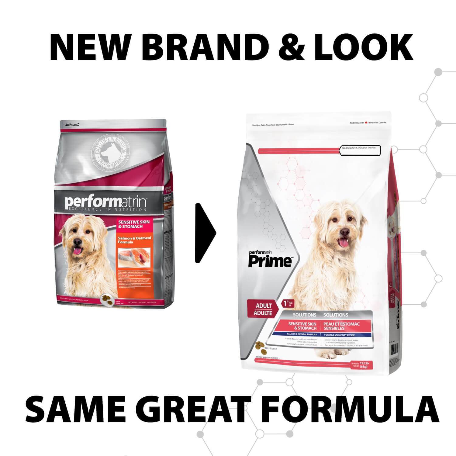 Performatrin Prime Sensitive Skin And Stomach Salmon And Oatmeal Adult ...