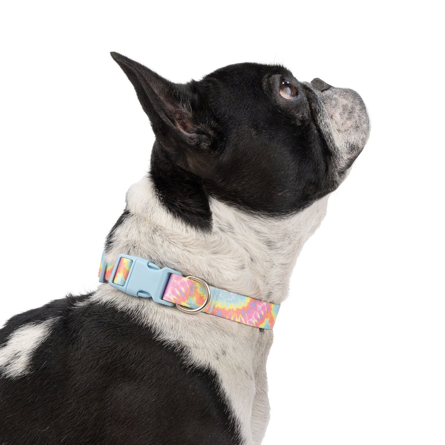 Simply Dog Tie Dye Dog Collar, Pastel Colors 1L | Pet Supermarket