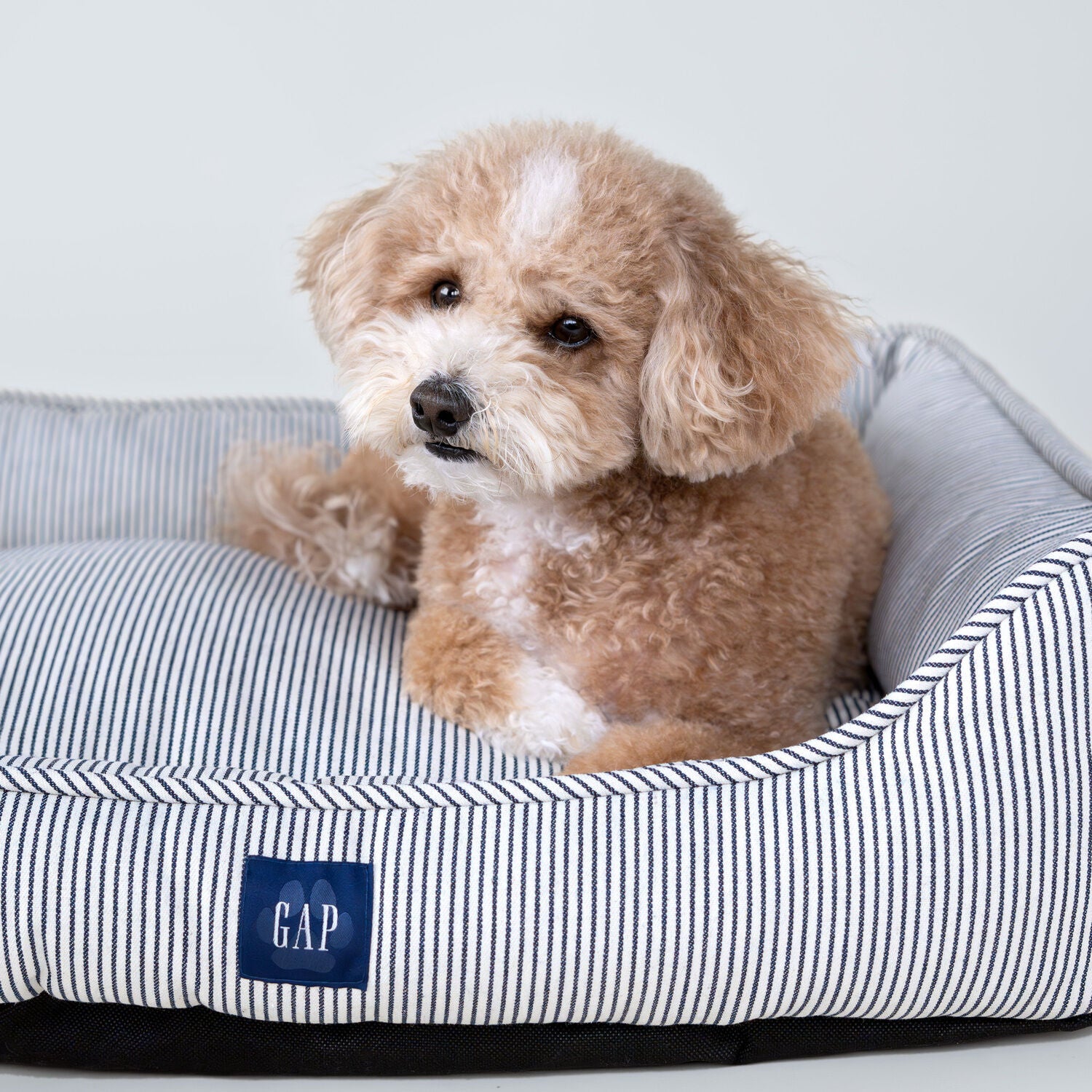 Gap Blue Railroad Stripe Cuddler Dog Bed, 23X21" | Pet Supermarket