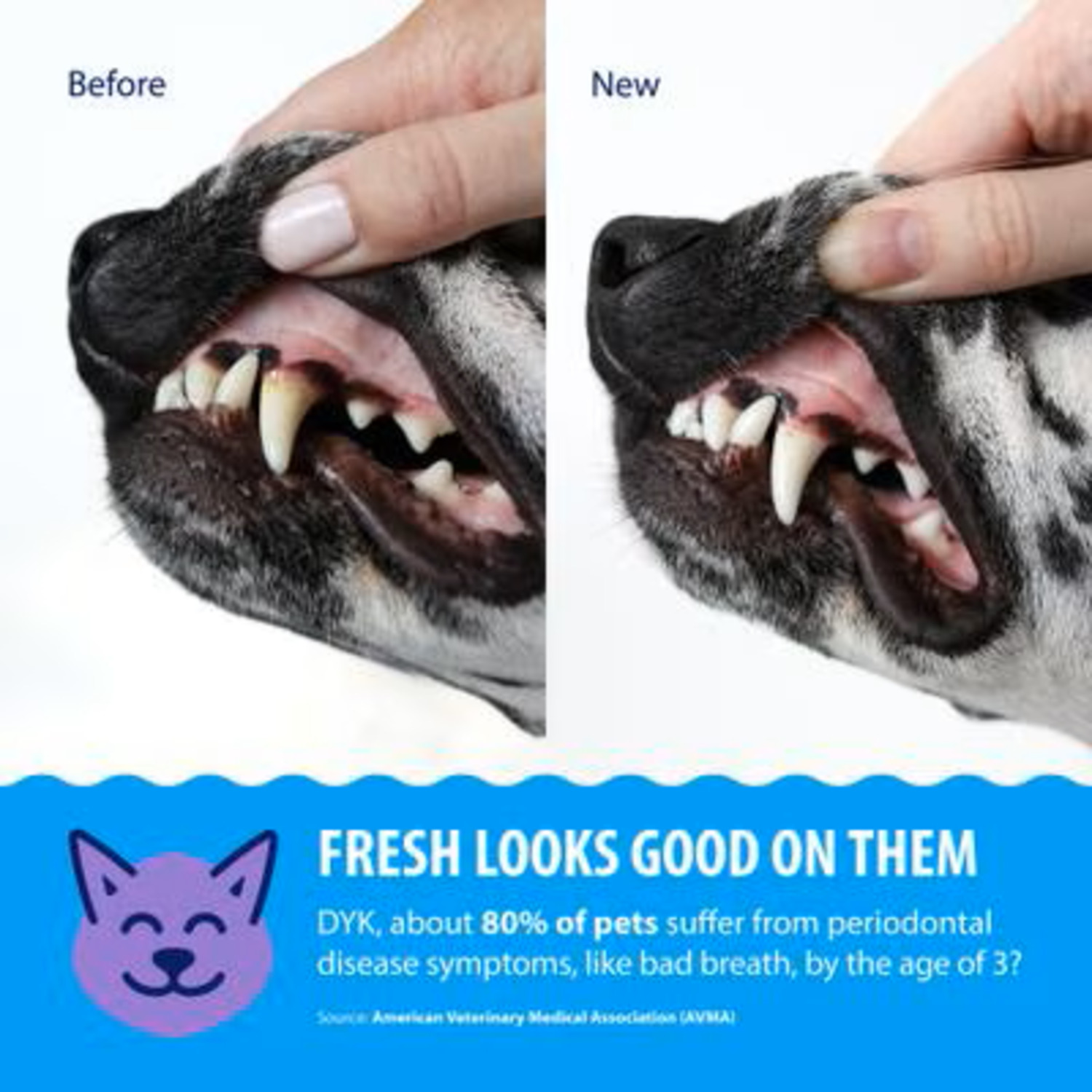 Dental Fresh Advanced Plaque - Tartar Control Dog - Cat Dental Water ...