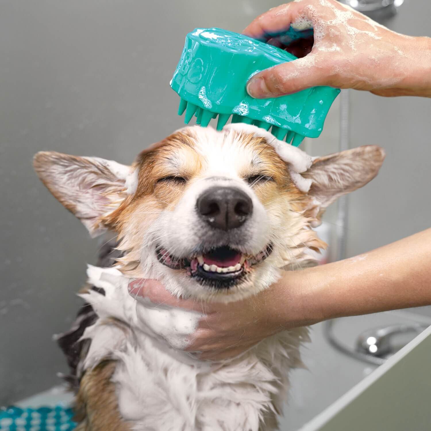 dog bath bubbles