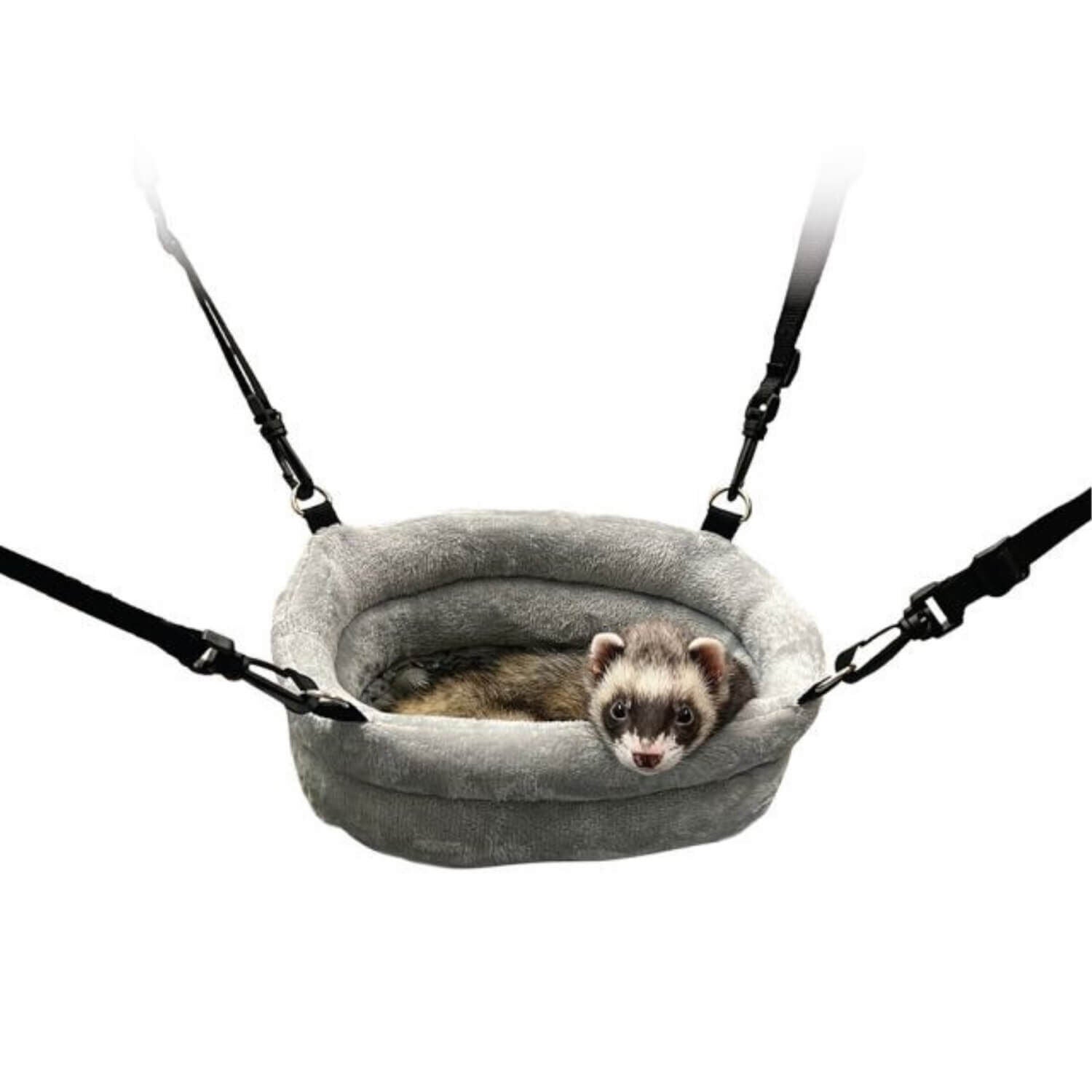 Marshall 2-In-1 Ferret Bed, Assorted Colors | Pet Supermarket