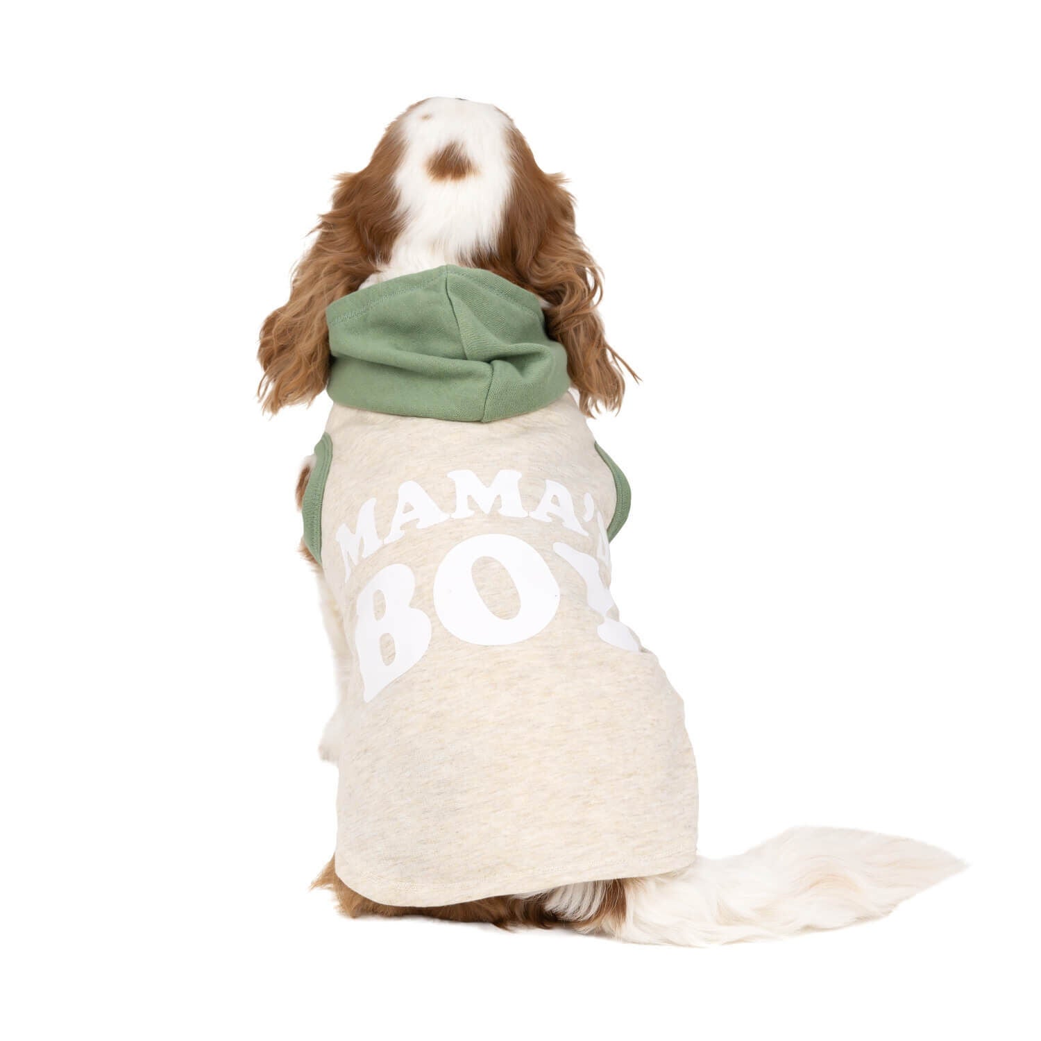 boy dog clothes
