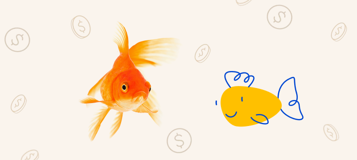 Fish Deals | Pet Supermarket