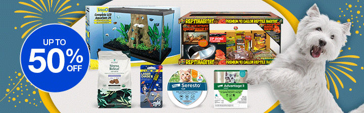 Exclusive Post-Holiday Deals for Pets | Pet Supermarket