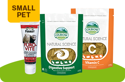 Pet Food, Pet Supplies & Pet Products | Pet Supermarket
