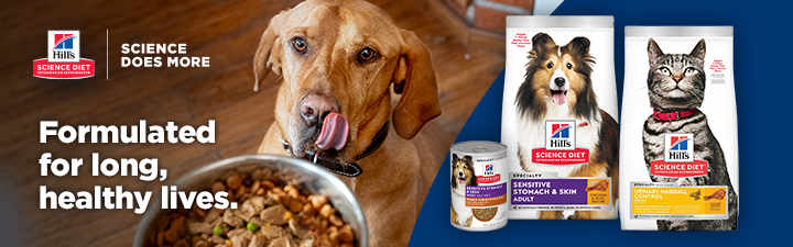 hills pets