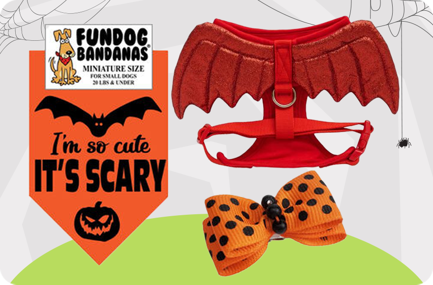 Halloween Shop | Pet Supermarket