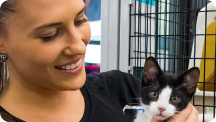 About Us | Pet Supermarket