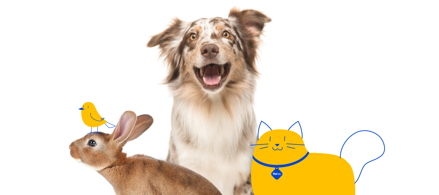 Resource Center | Pet Supermarket | Pet Supermarket