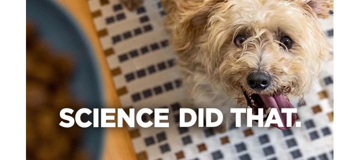 Hill's Pet Nutrition | Pet Supermarket