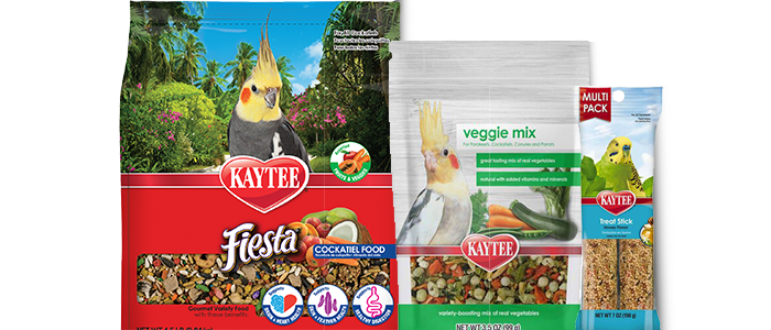 Kaytee | | Pet Supermarket