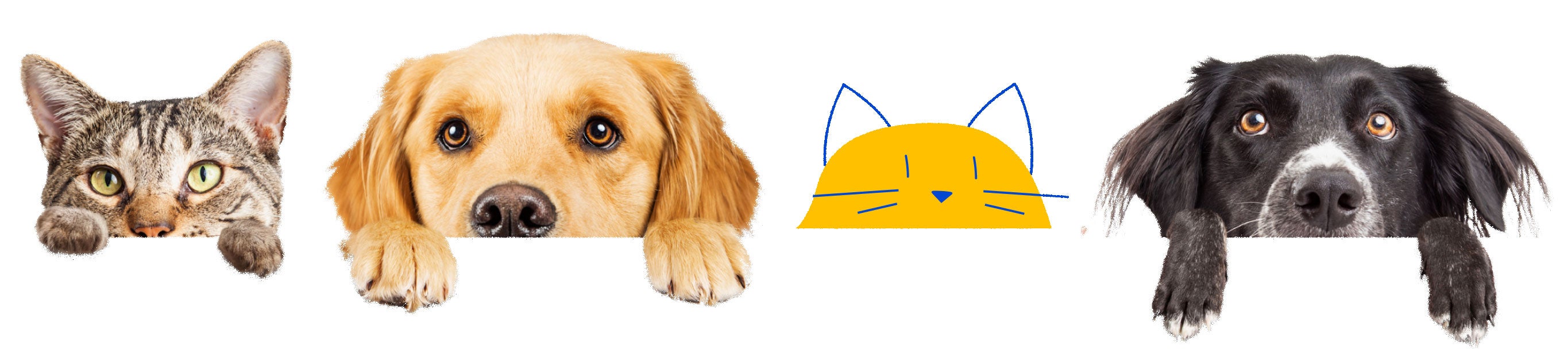 Sites-PetSupermarket-Site | Pet Supermarket