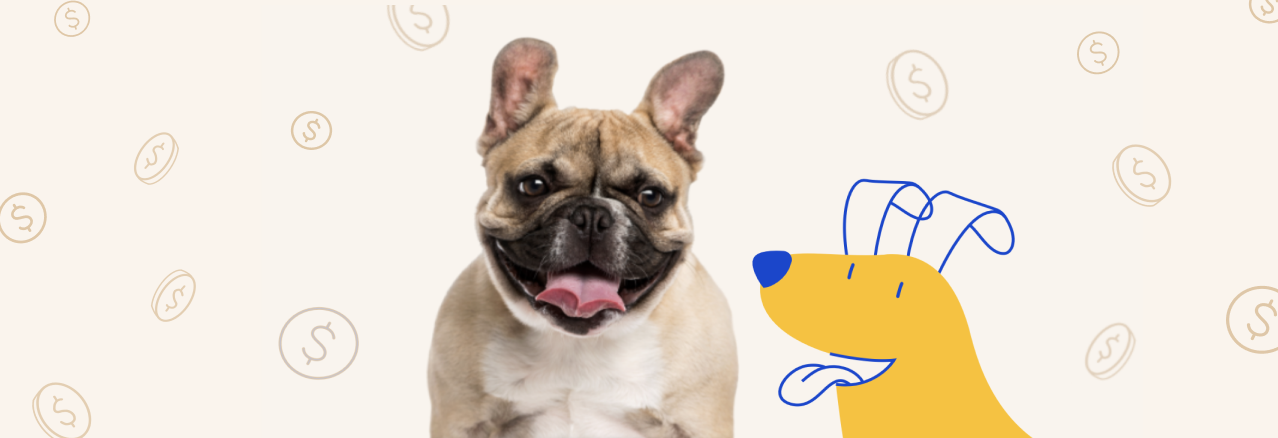 Dog Deals | Pet Supermarket