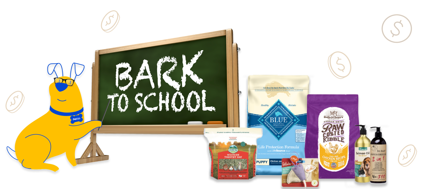 Bark To School